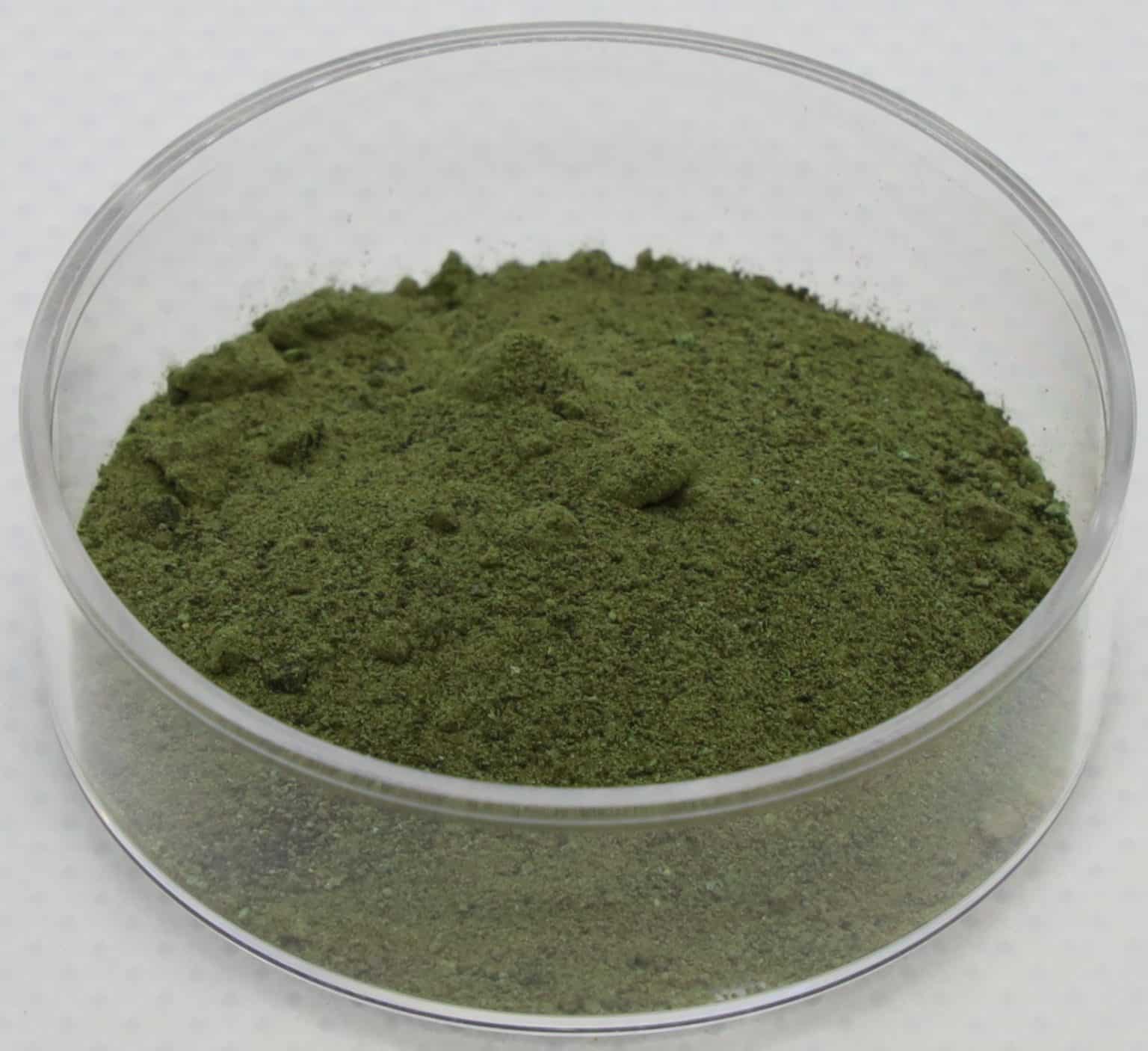 What Is File Powder?