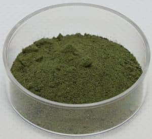 What Is File Powder?