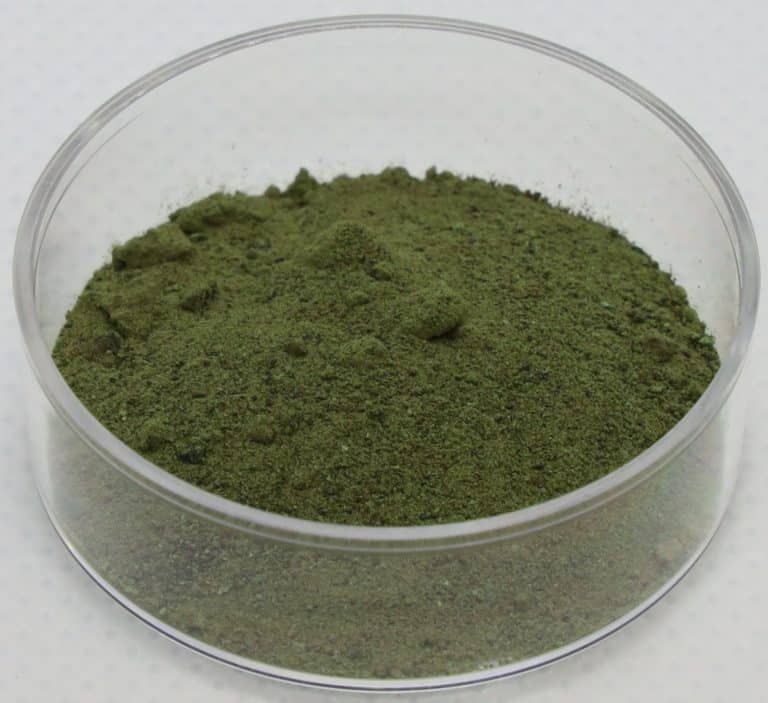 What Is File Powder?
