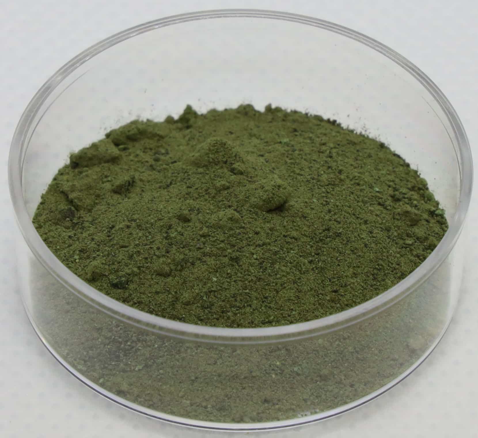 What Is File Powder?