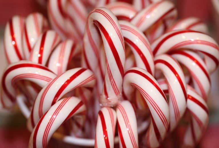 How Long Do Candy Canes Last?