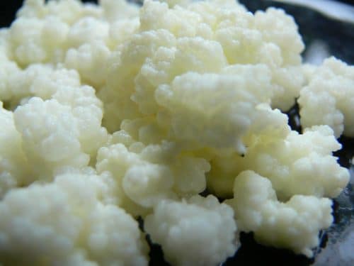 What Is Kefir?
