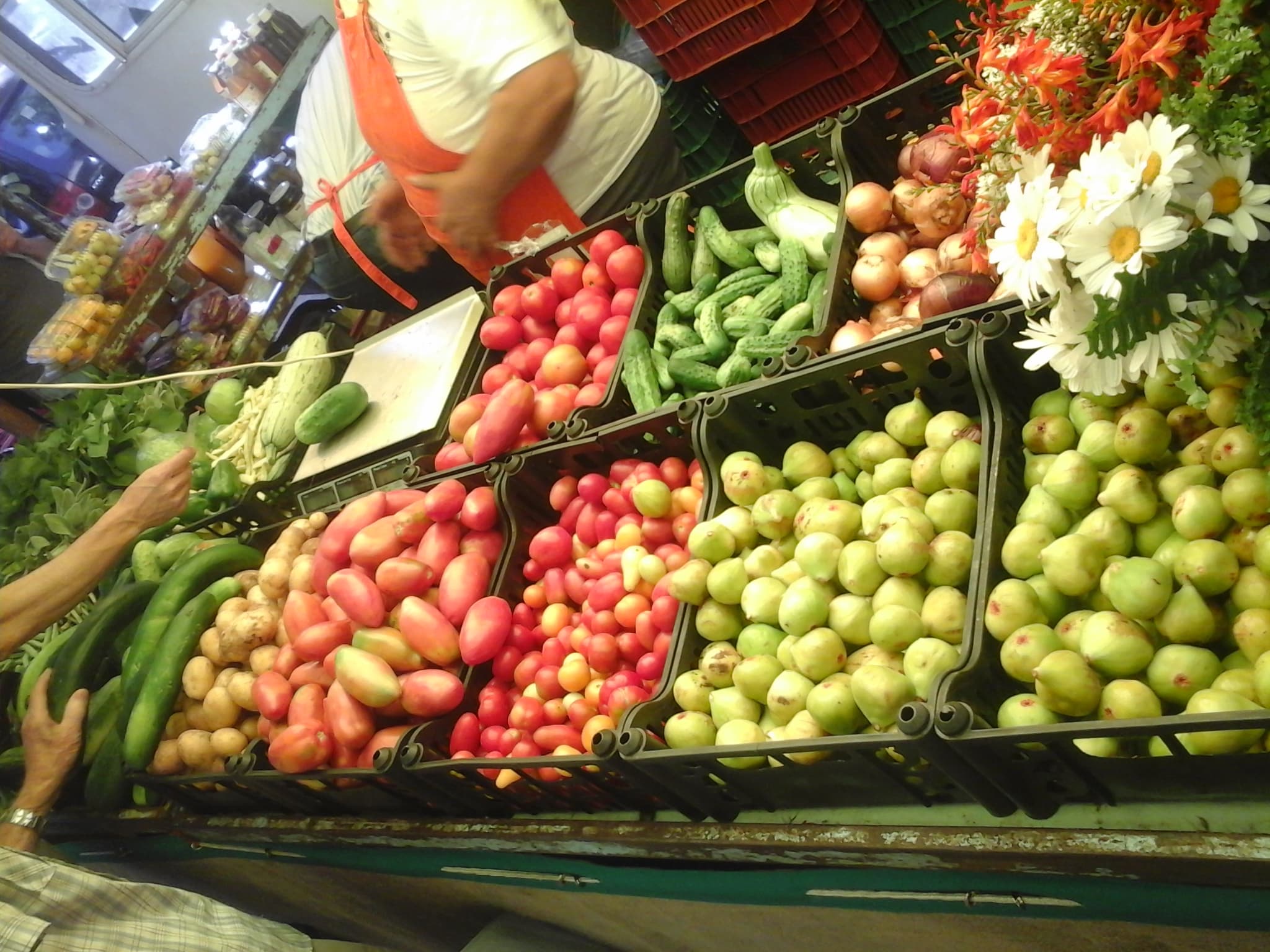 What Does Organic Mean?