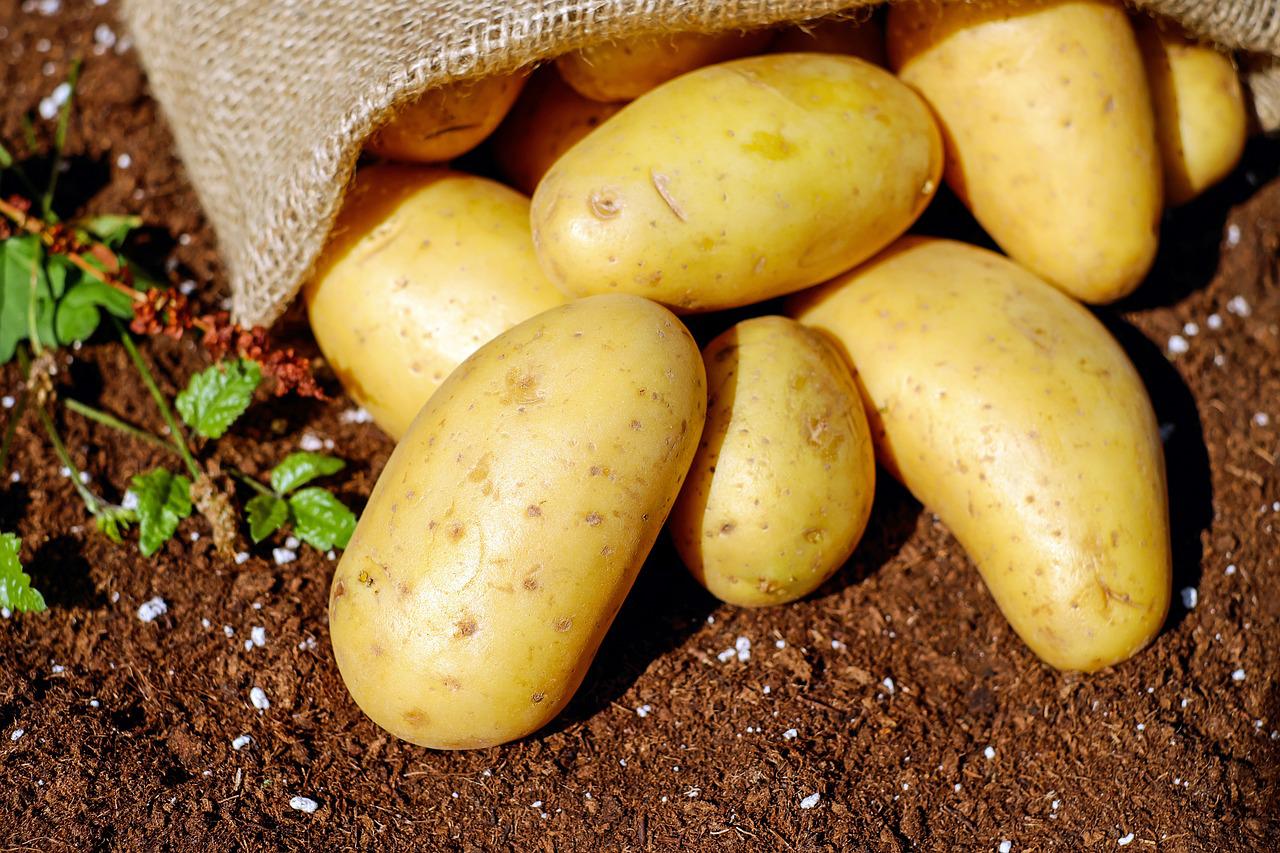 Hawaiian Sweet Potato Recipe